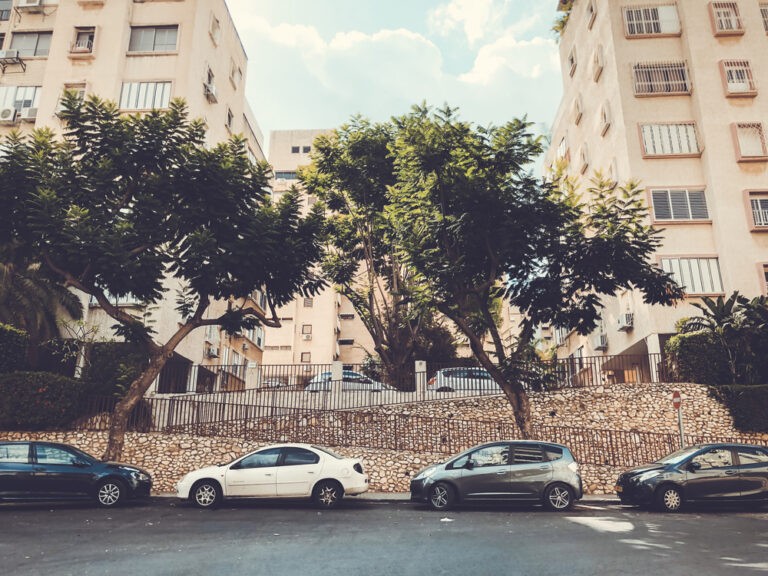 Реховот, Израиль – особенности и достопримечательности города, фото ...